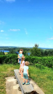 Kielder driving route