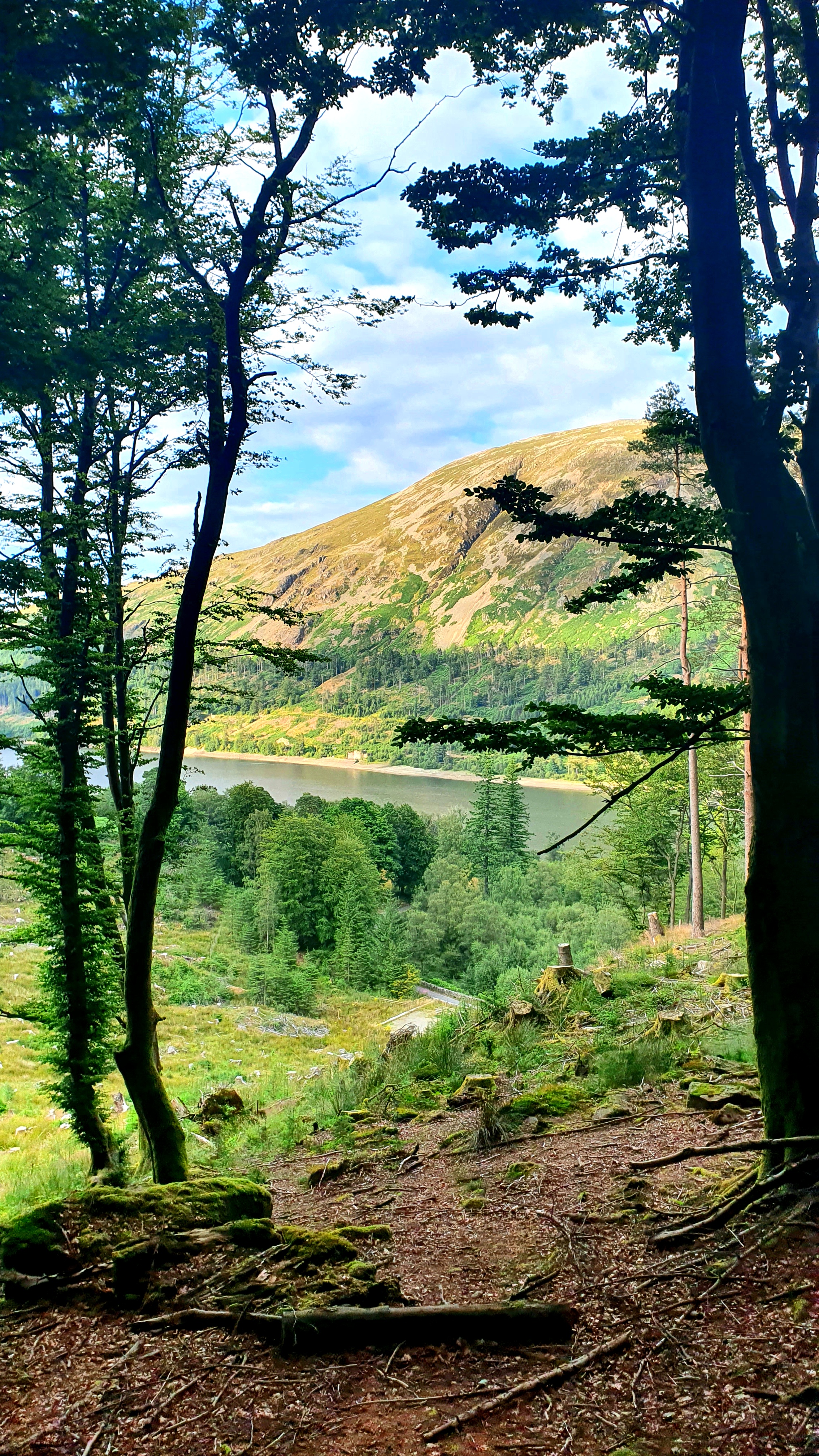 Harrop tarn