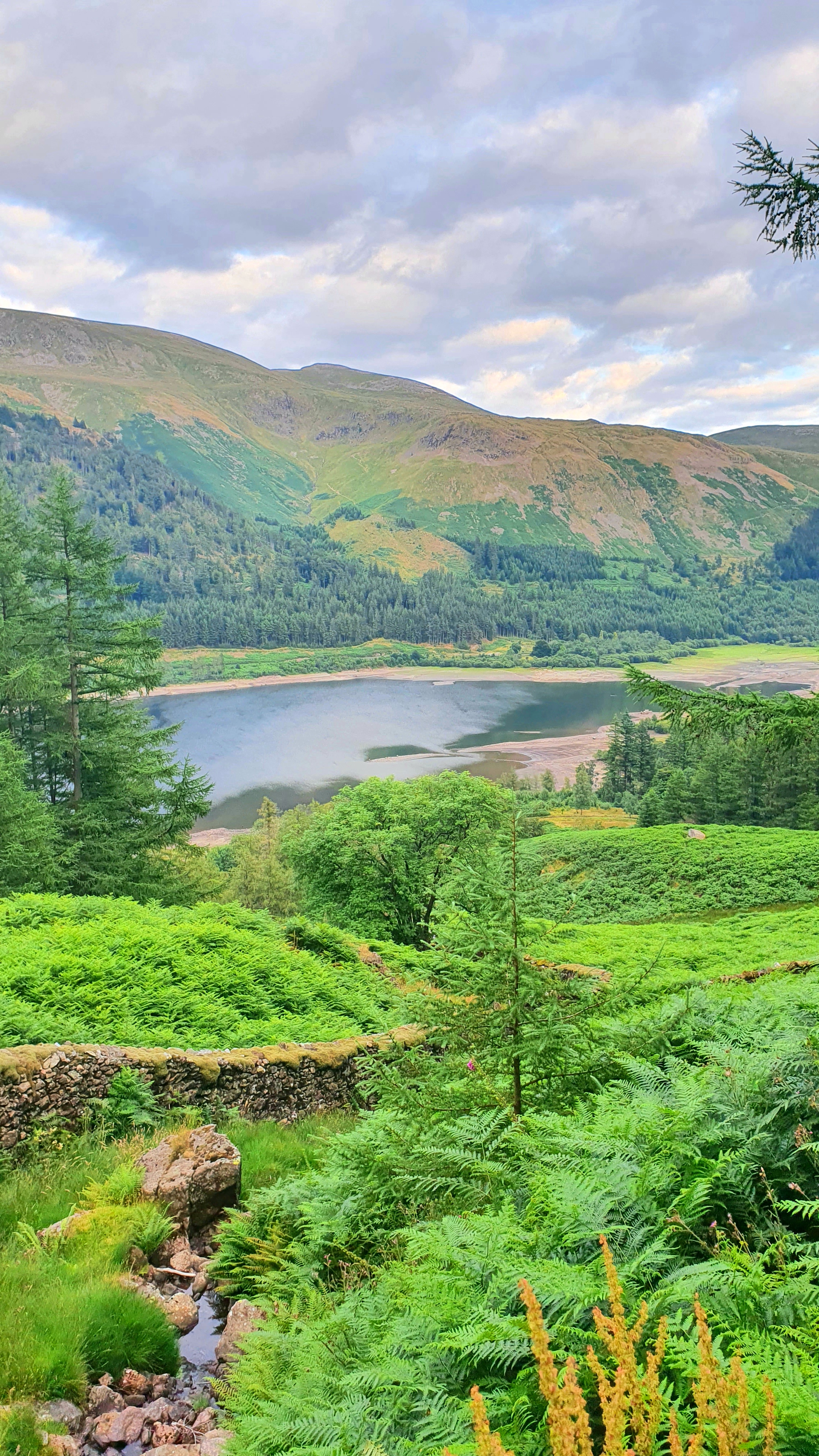 Harrop tarn